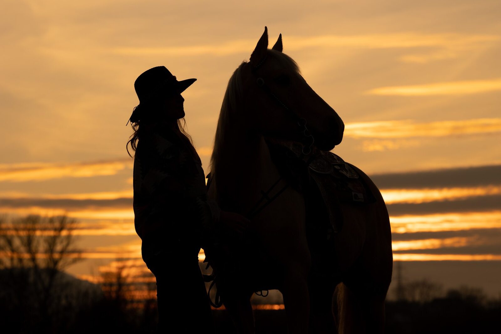 Home » Black Hoof Photography